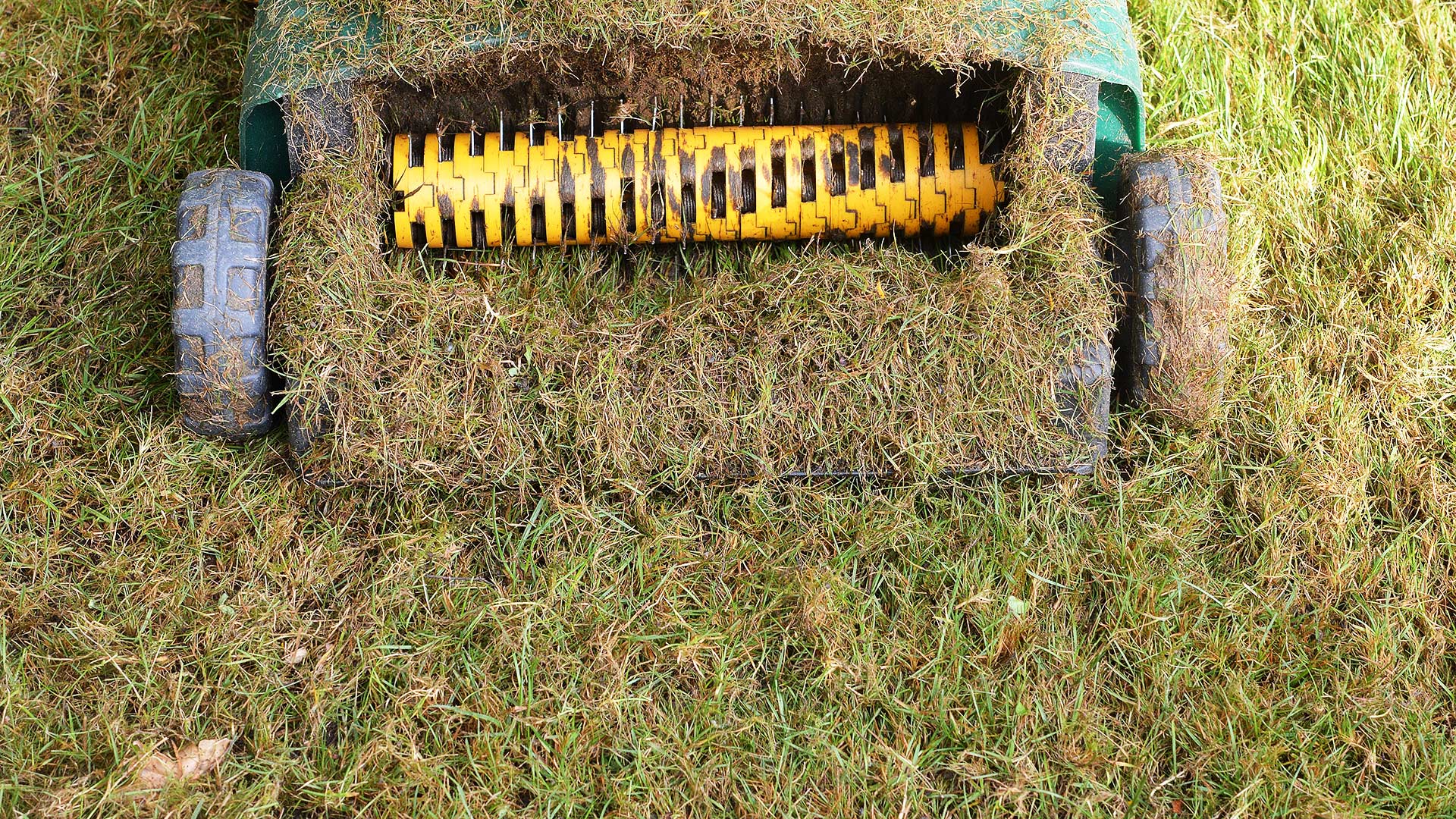 De-Thatching - Spring Valley Lawn & Snow